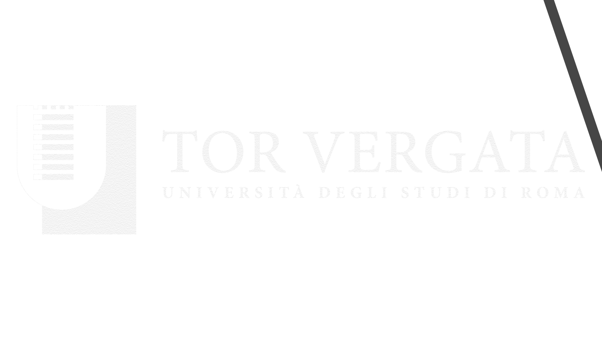 Homepage Università degli Studi di Roma Tor Vergata